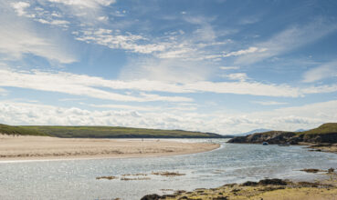 Driftwood | What to See and Do in Rhosneigr